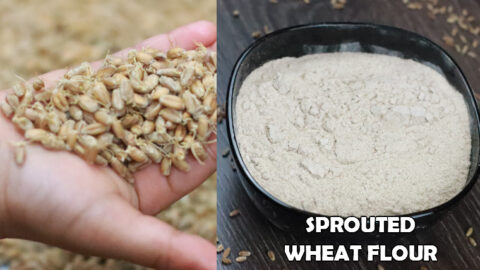 HOW TO MAKE SPROUTED WHEAT FLOUR - Sowji's Kitchen
