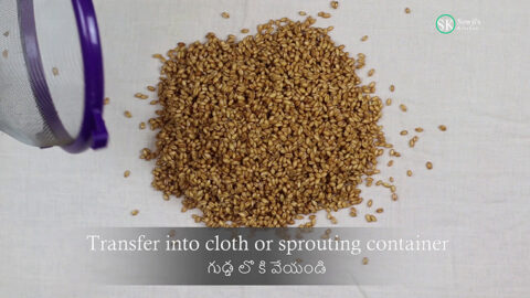 HOW TO MAKE SPROUTED WHEAT FLOUR - Sowji's Kitchen